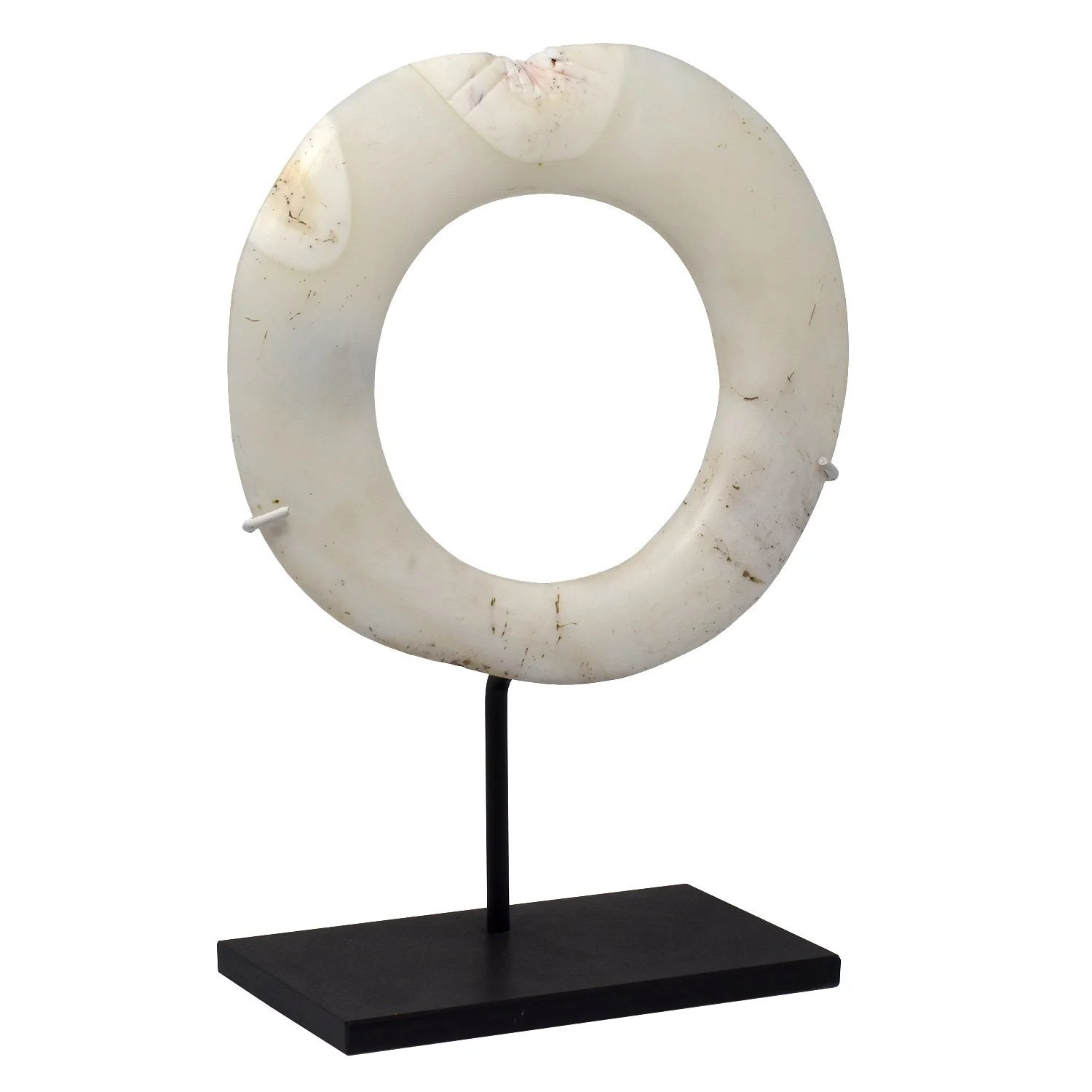 Bailer Shell Pectoral #1, Papua New Guinea — Morgan Oakes Gallery