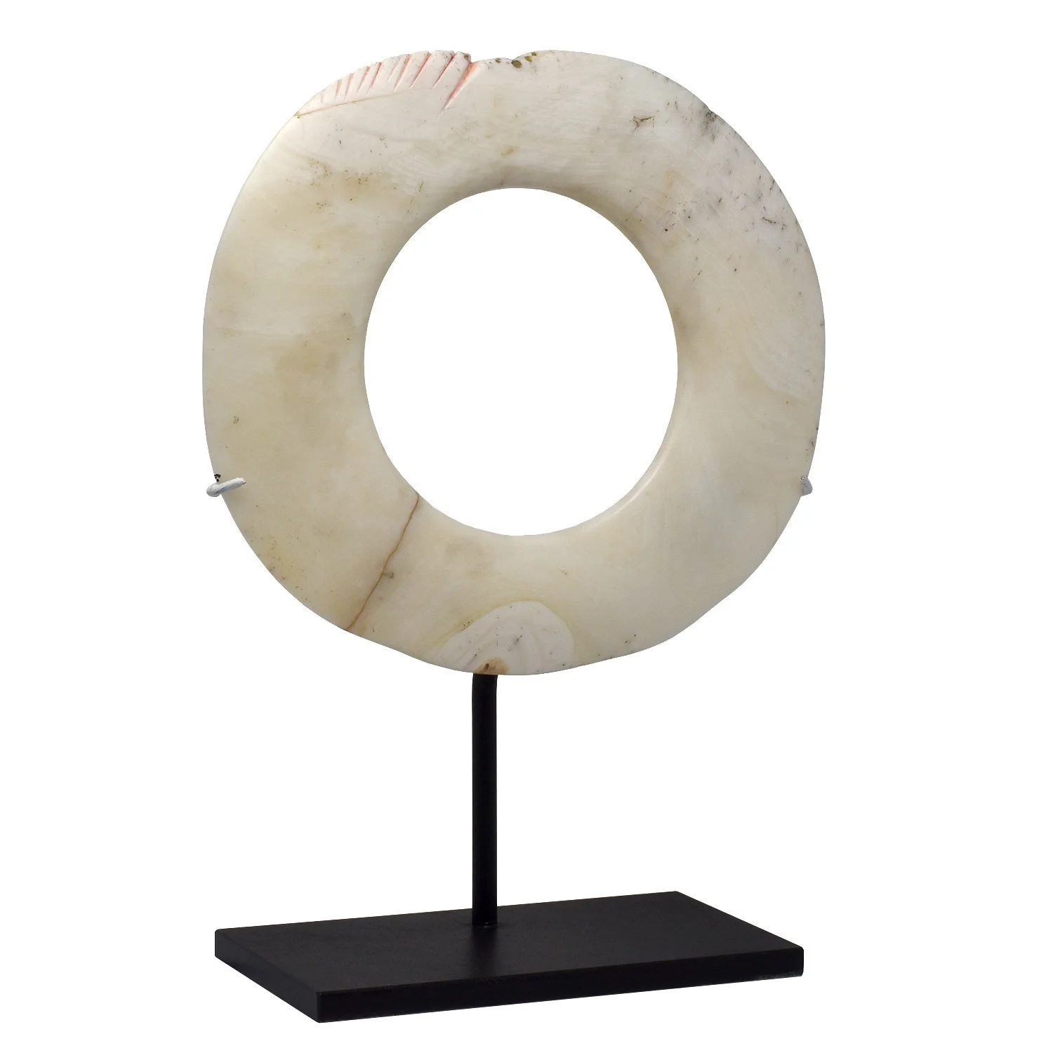 Bailer Shell Pectoral #1, Papua New Guinea — Morgan Oakes Gallery