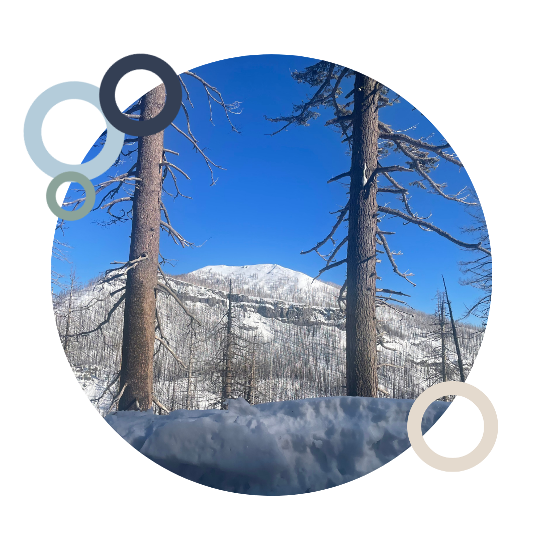 Spiritual Direction — Kardia Collective