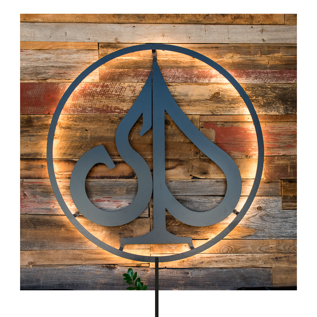 Beers — Slow Play Brewing