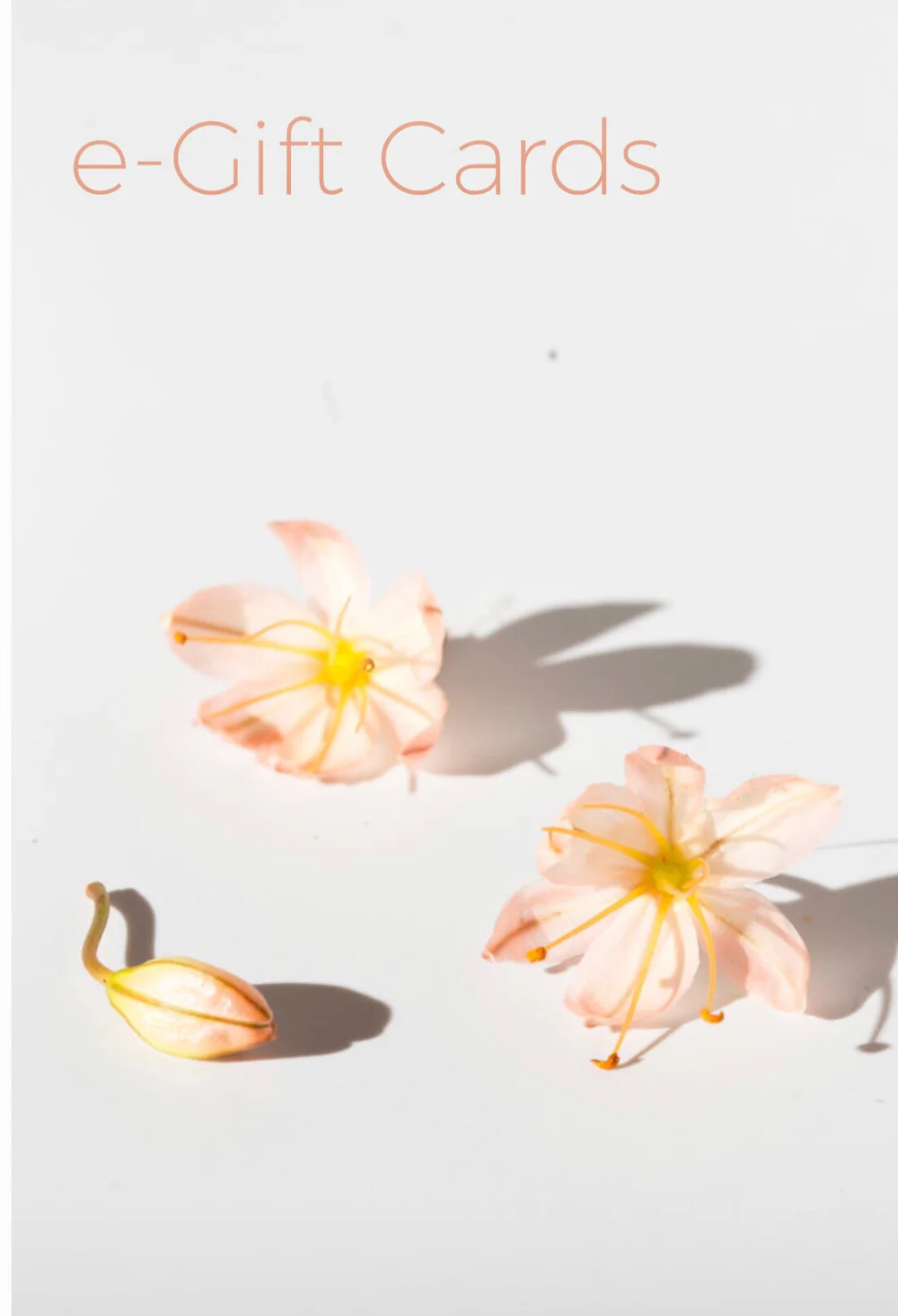 SHOP FIG+YARROW — Fig + Yarrow