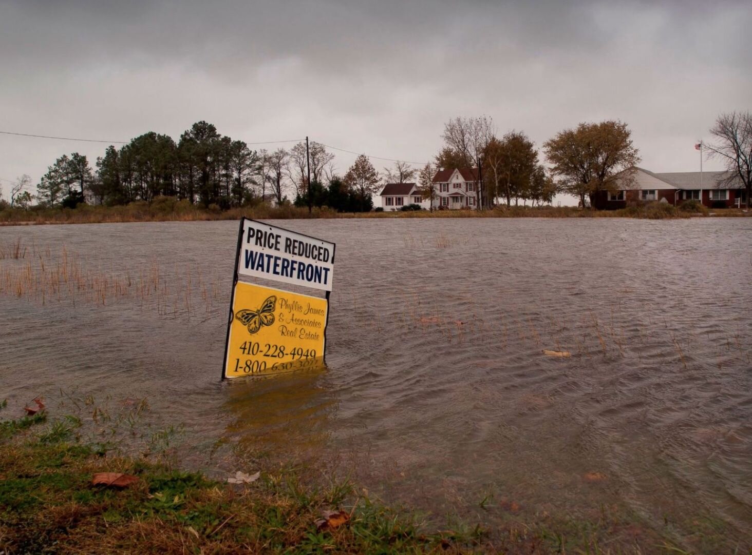 The Effects of Rising Sea Levels on the Real Estate industry ...