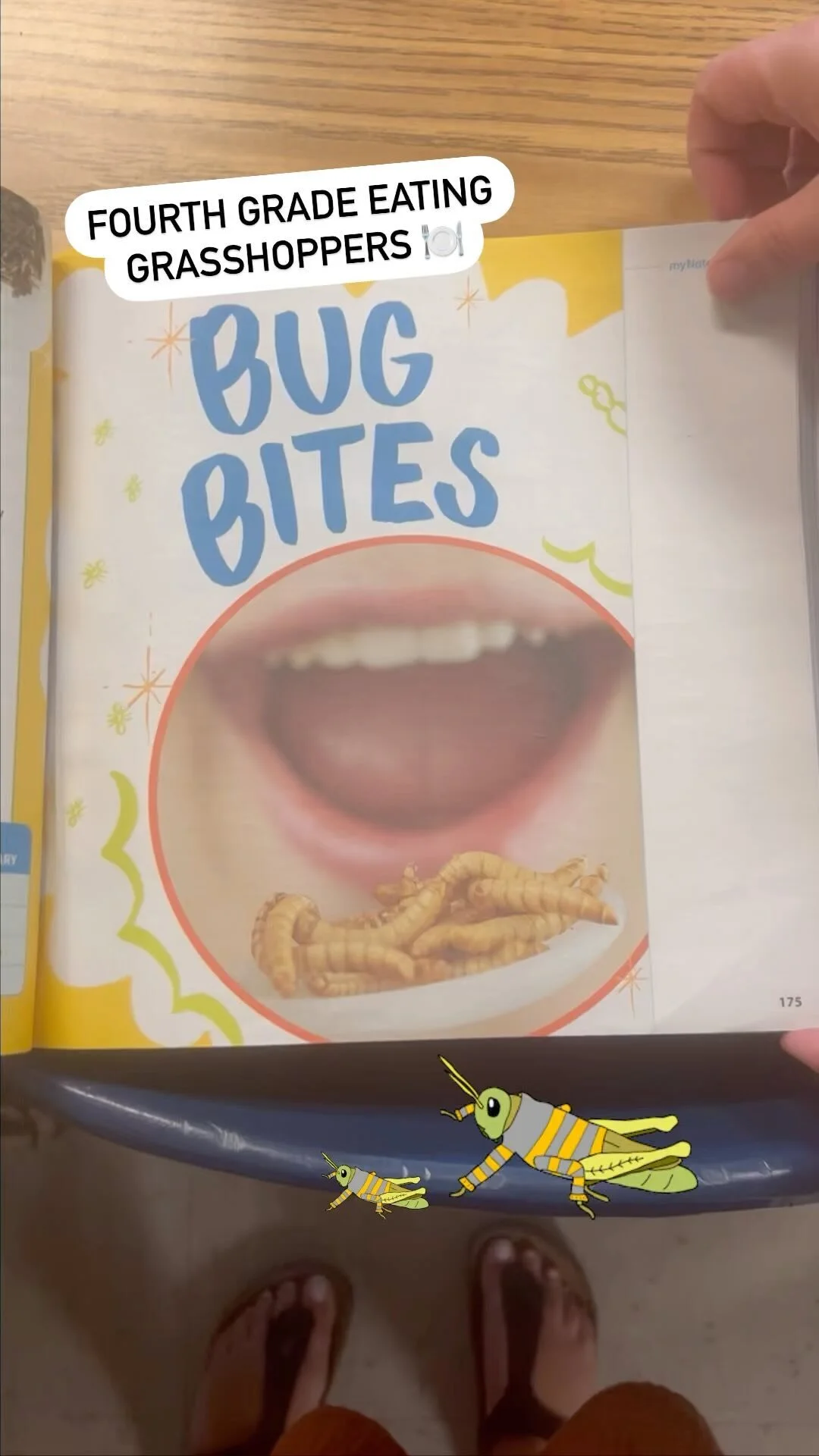 St. Joseph Parish School | Issaquah, Snoqualmie