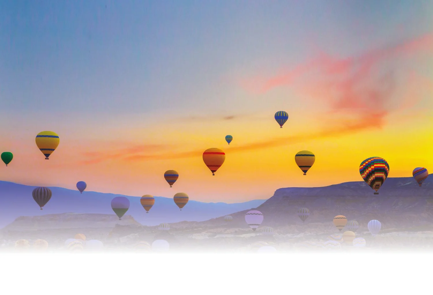 MyThanks loyalty scheme | Pentland Component Parts Ltd - Quality car ...