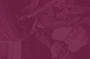 Tech4Techs | Pentland Component Parts Ltd - Quality car parts in Edinburgh