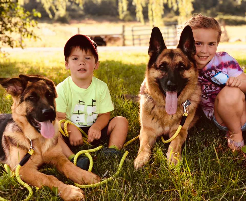 German Shepherd Kids