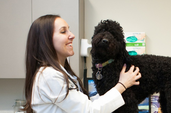 Muddy Paws Rescue - Our Team — Muddy Paws Rescue