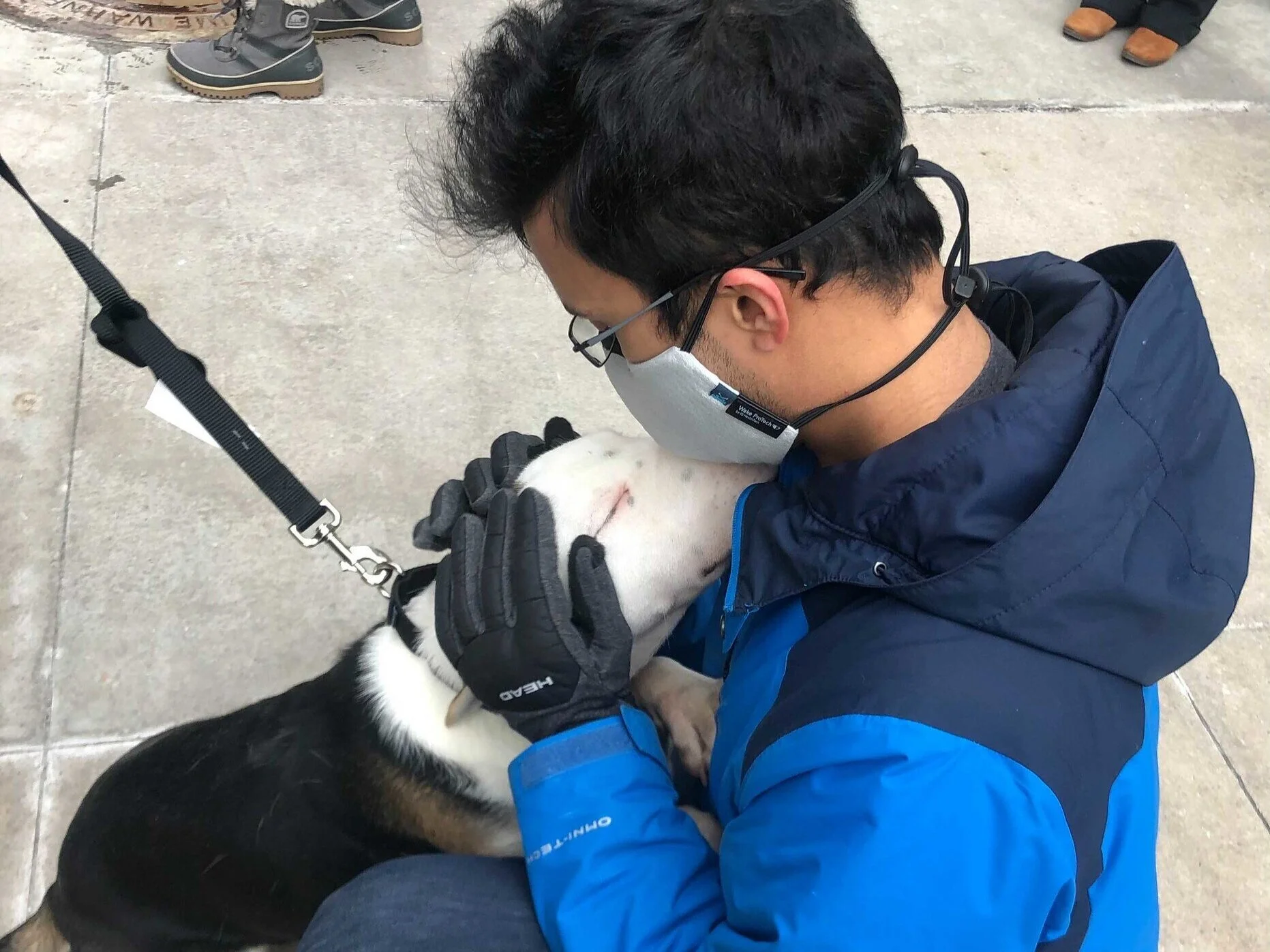 Volunteer for rescue dogs — Muddy Paws Rescue