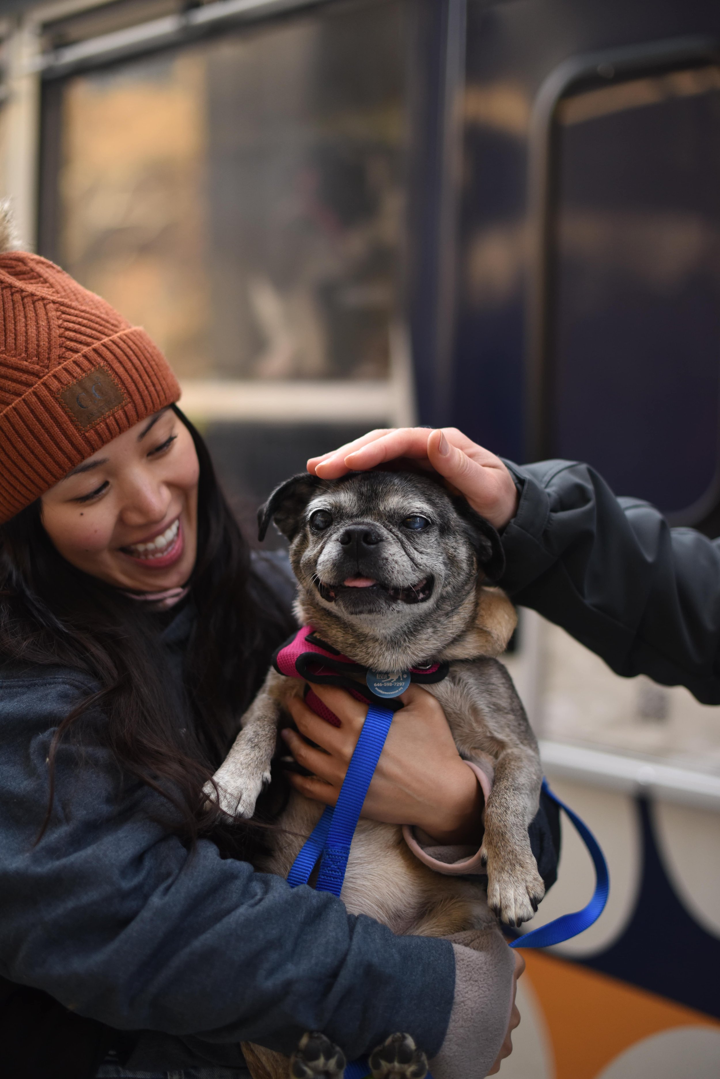 How you can help — Muddy Paws Rescue