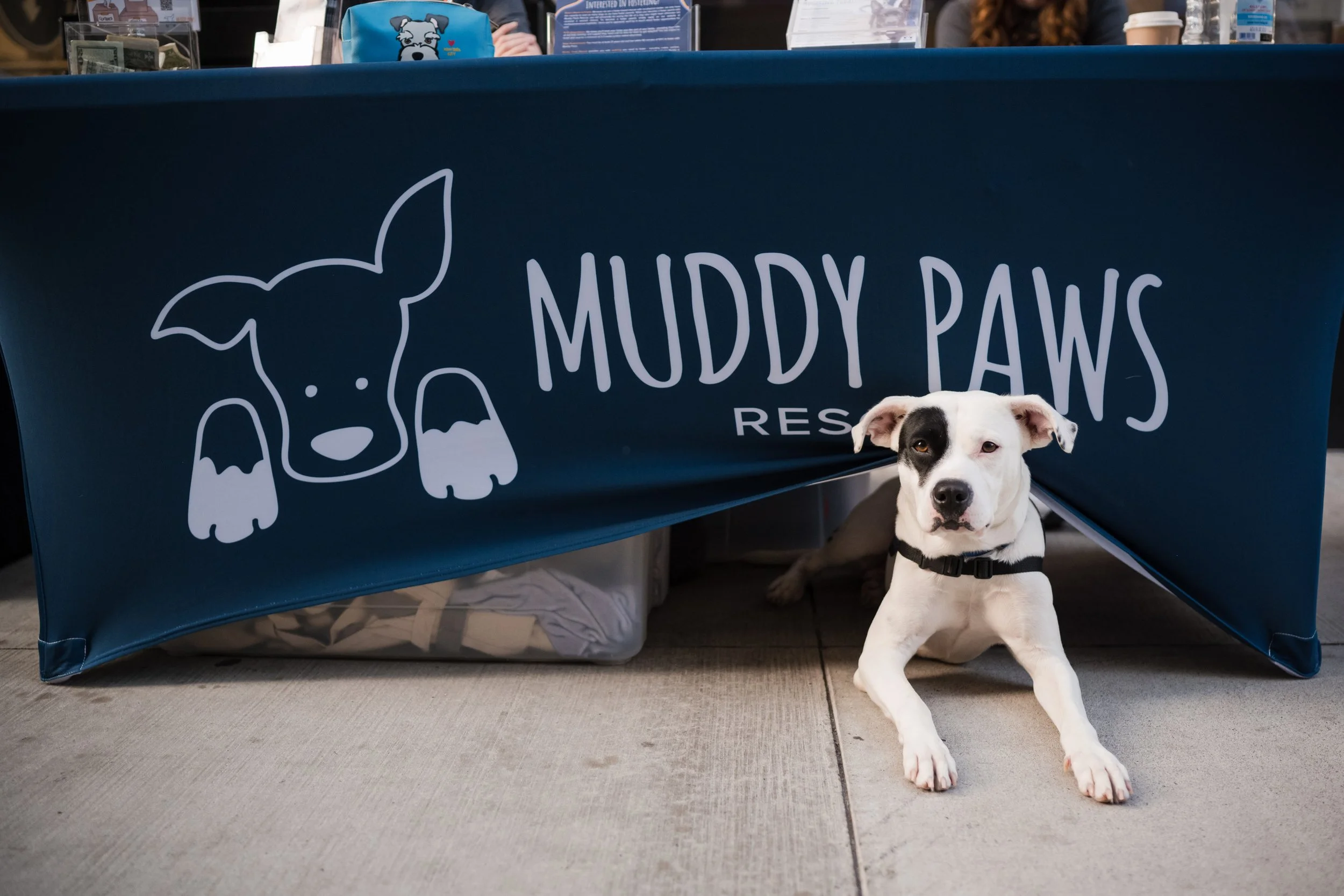 Who We Are — Muddy Paws Rescue