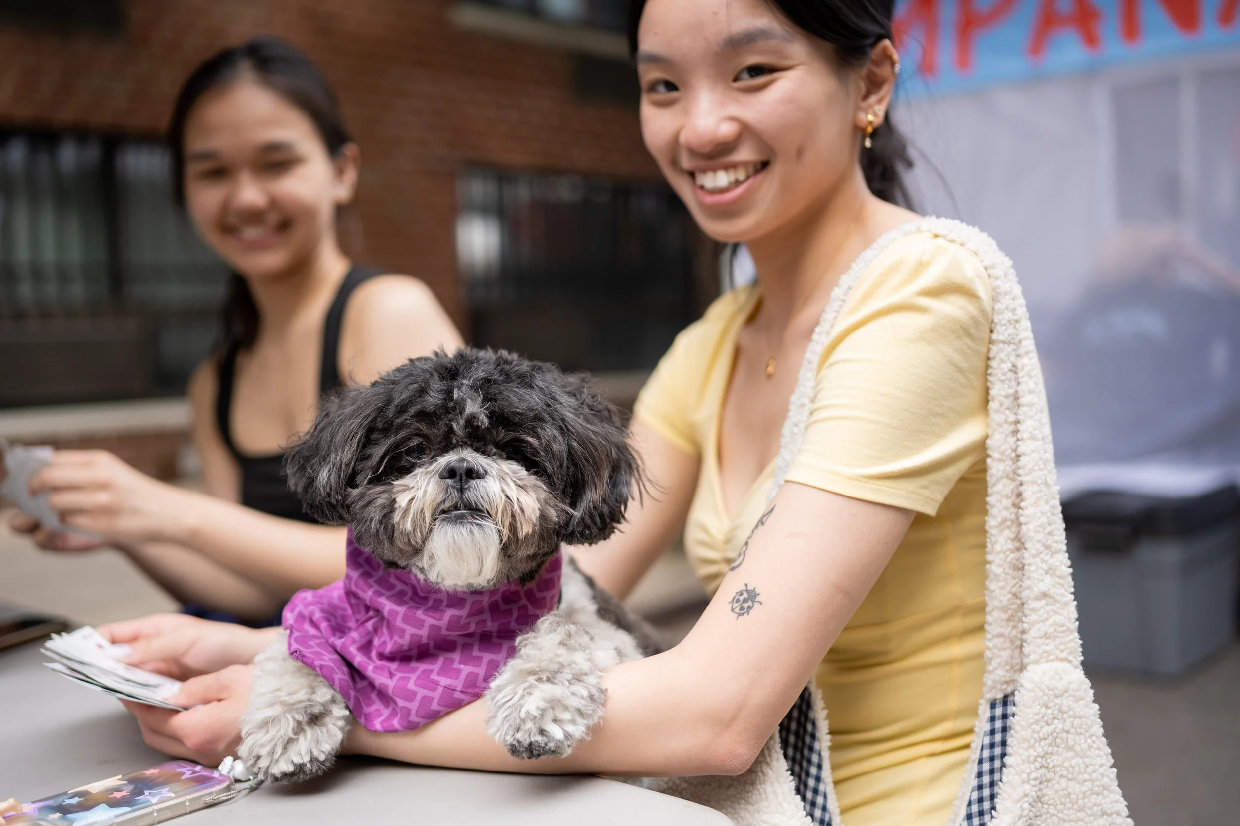 Muddy Paws Signature Initiatives — Muddy Paws Rescue