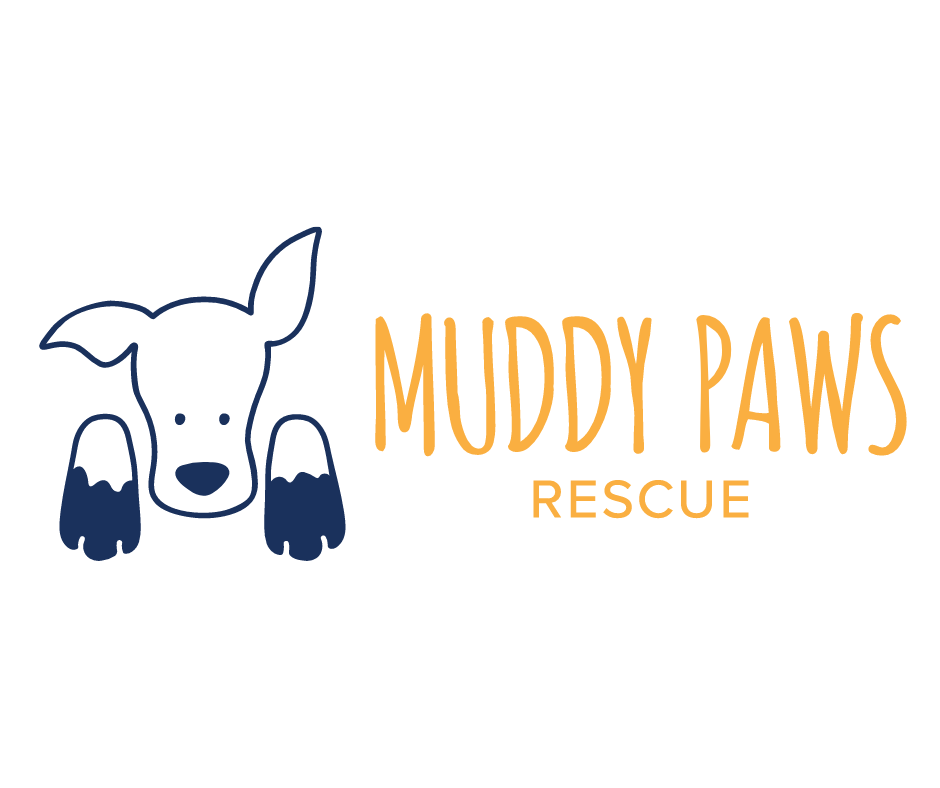 Paws Animal Shelter Logo