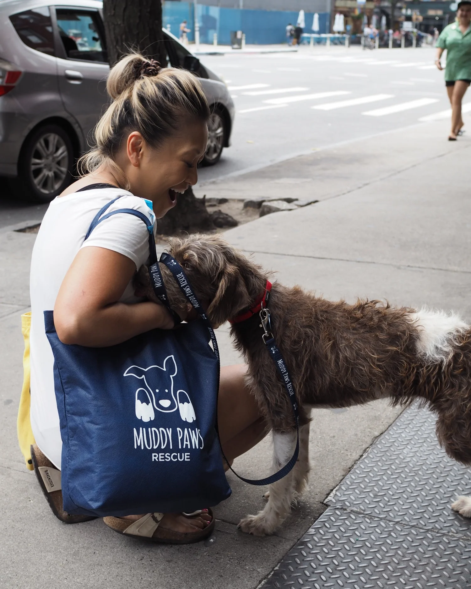 Become a Foster — Muddy Paws Rescue