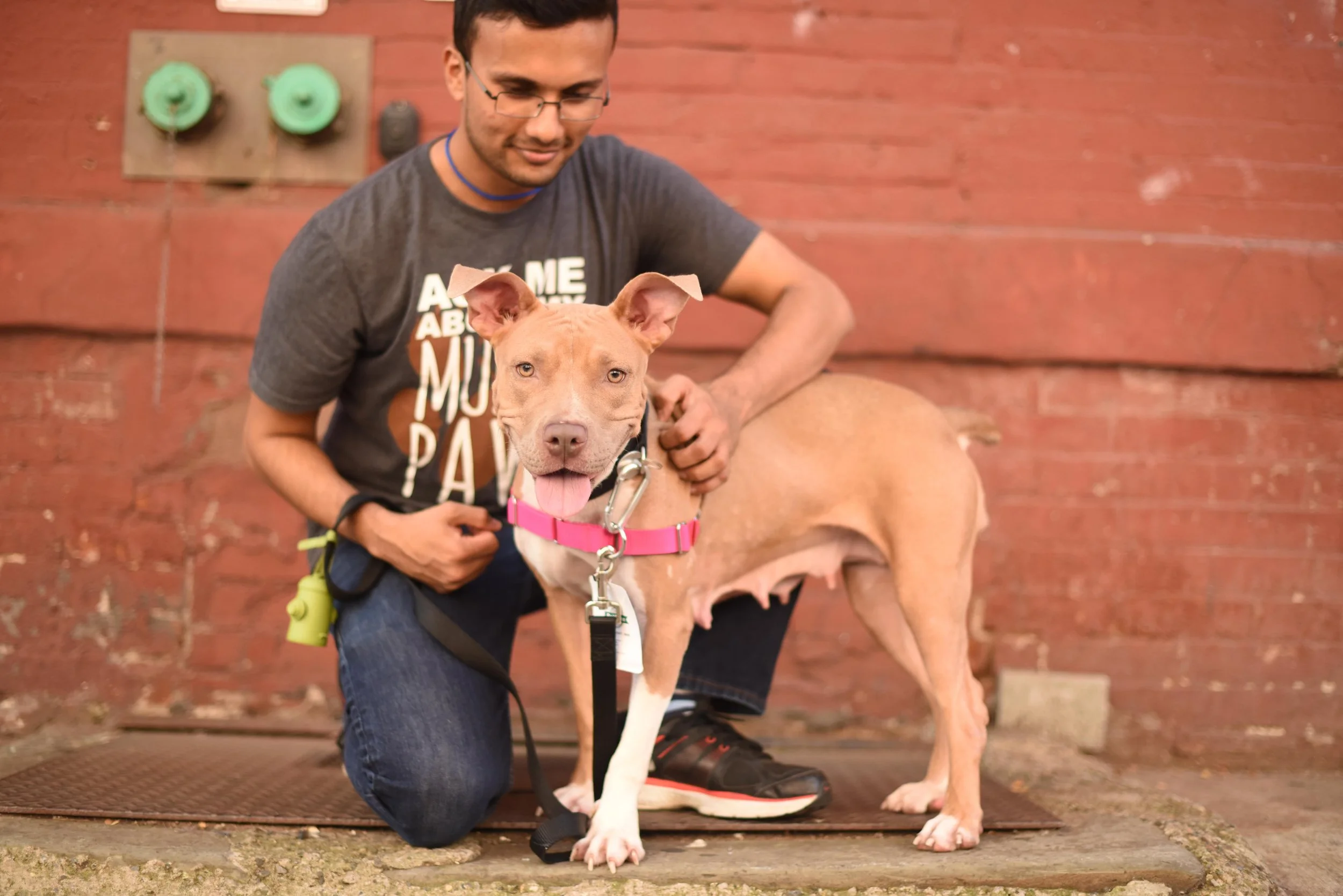 Who We Are — Muddy Paws Rescue