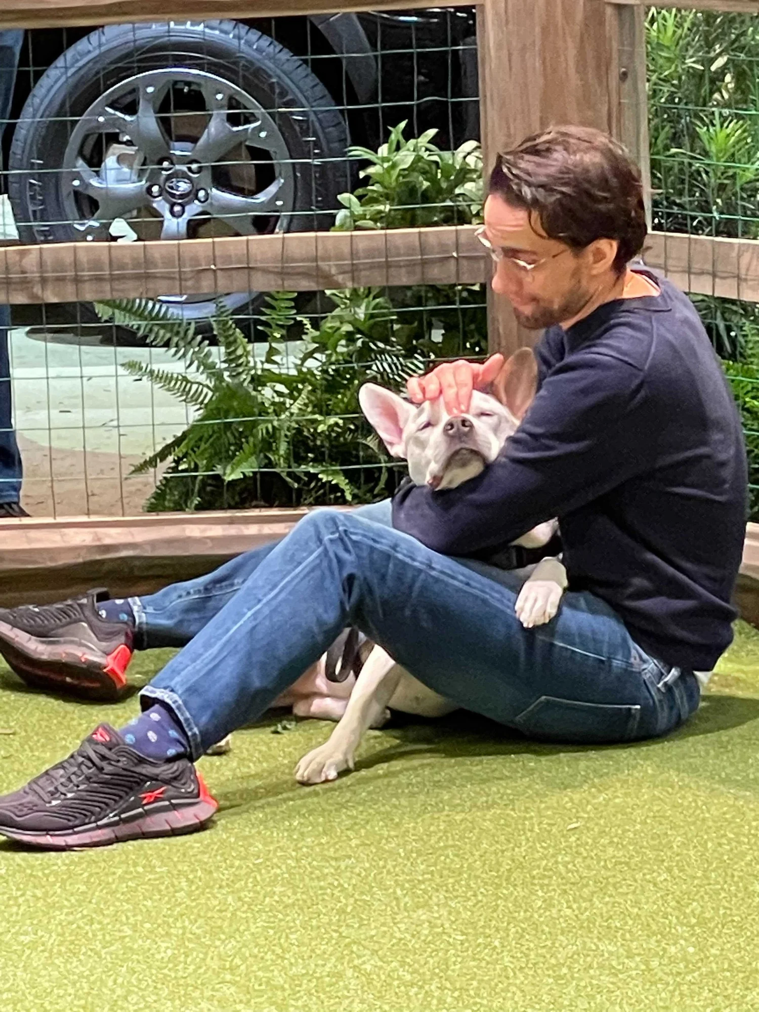 Top 10 Happy Tails of 2022: Meet Pappi! — Muddy Paws Rescue