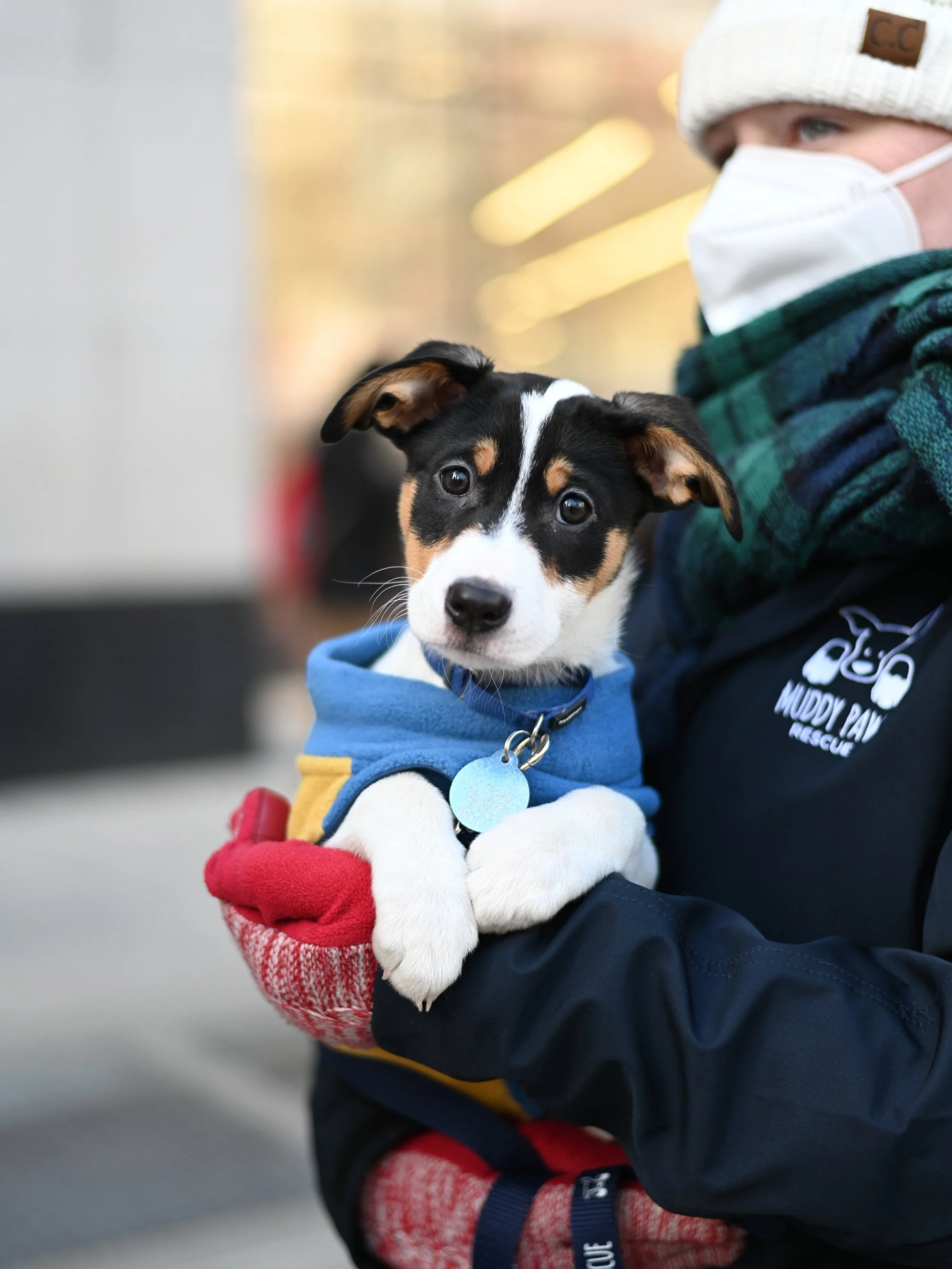 Who We Are — Muddy Paws Rescue