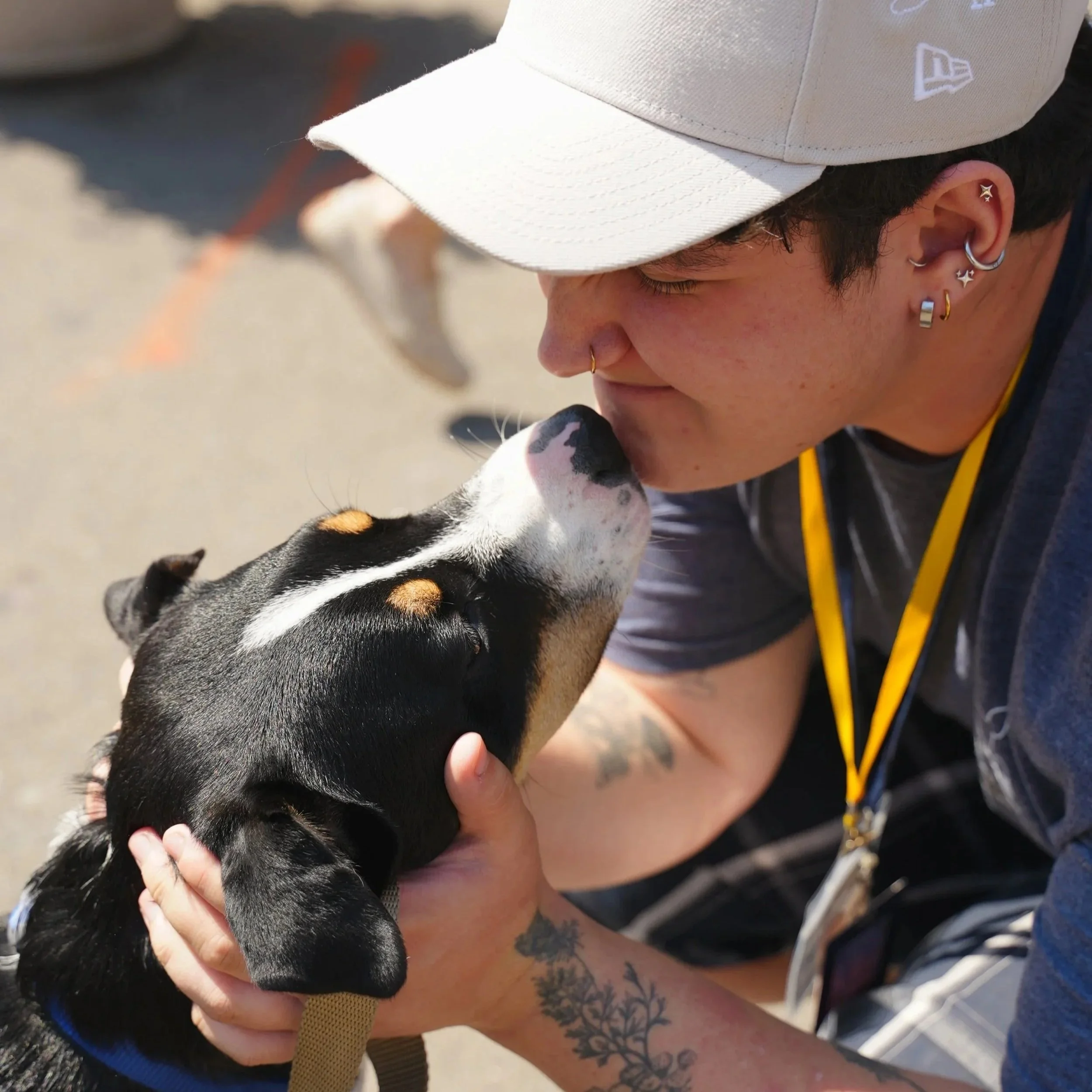 Muddy Paws Pack HQ — Muddy Paws Rescue