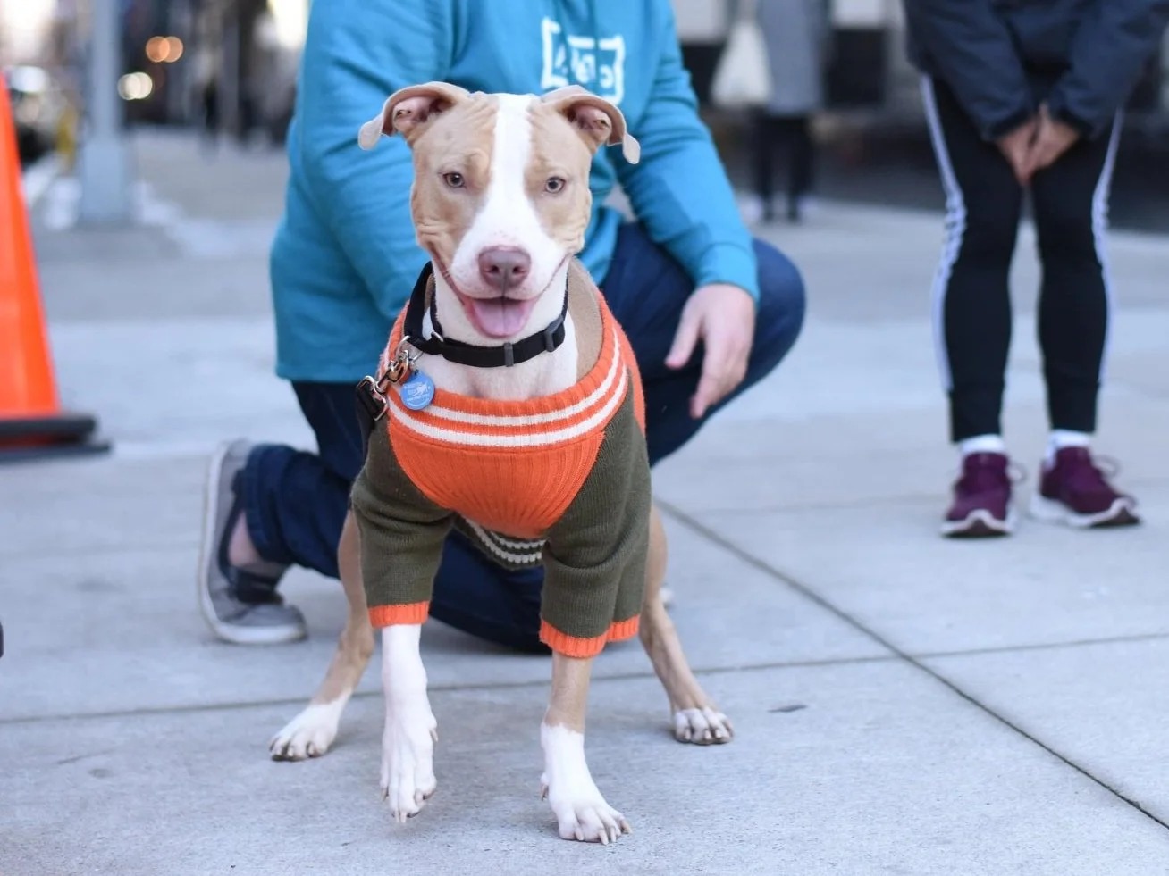 12 Days of Happy Tails: Meet Amy! — Muddy Paws Rescue