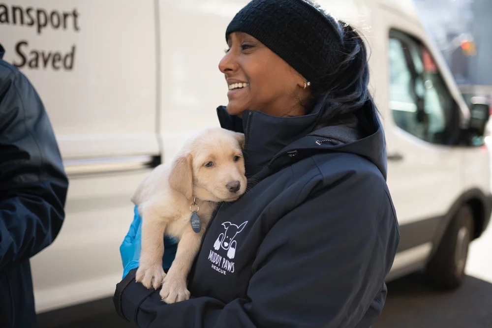 Volunteer for rescue dogs — Muddy Paws Rescue