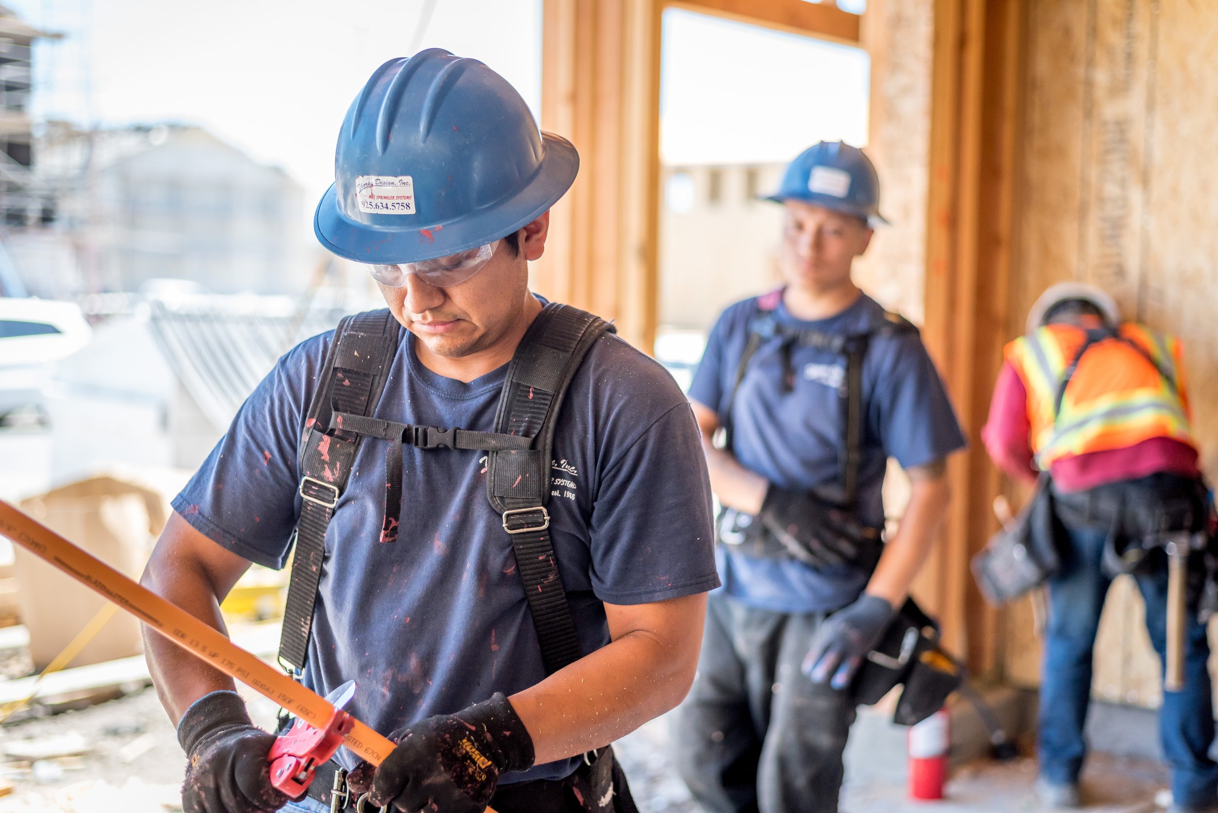 P8 — Thorpe Design Inc.