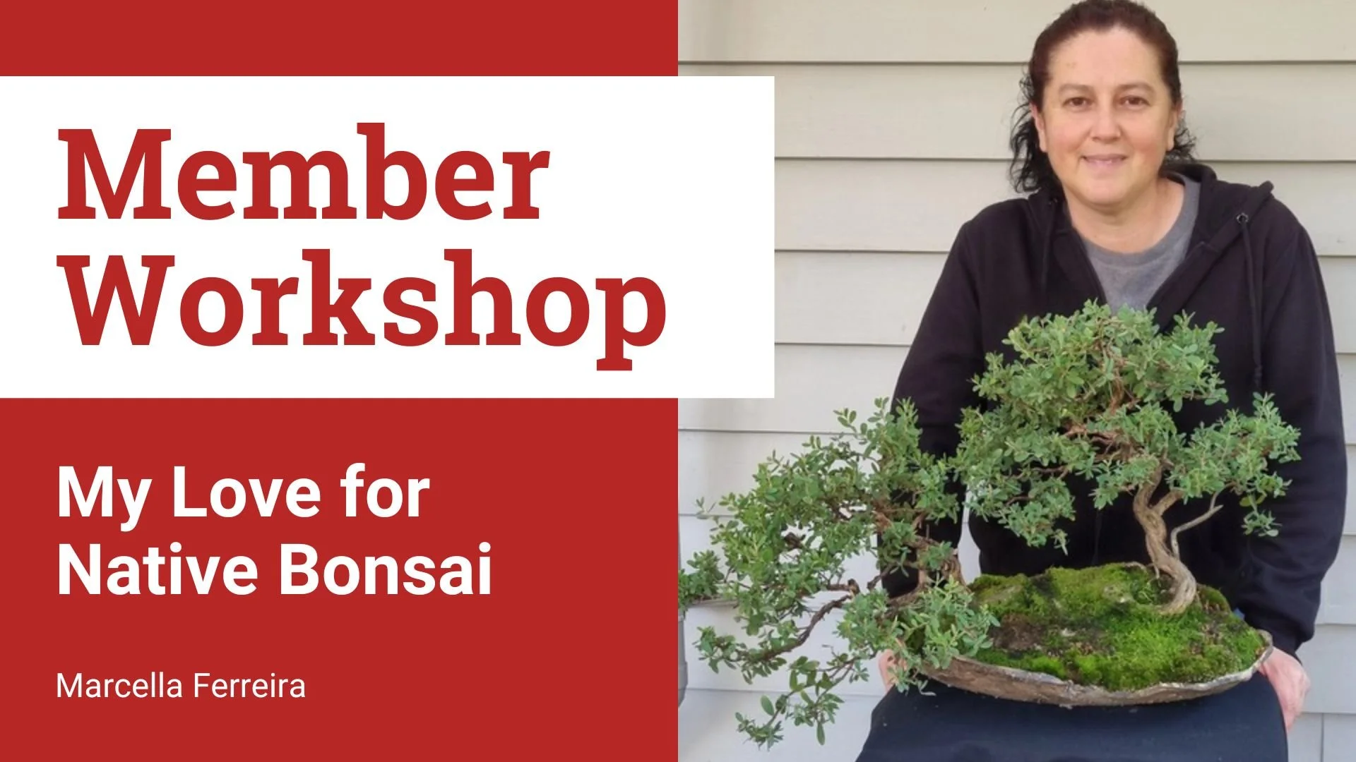 Bonsai Society of Victoria