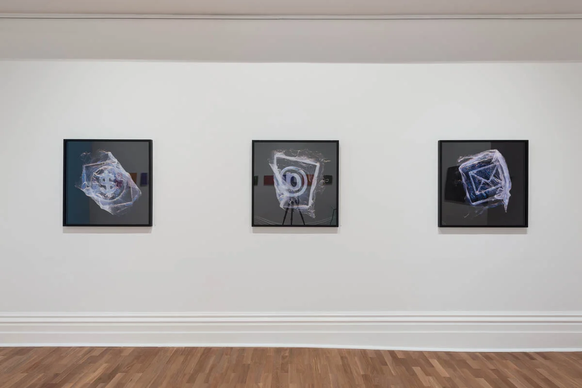 Reverse Photography — Penelope davis