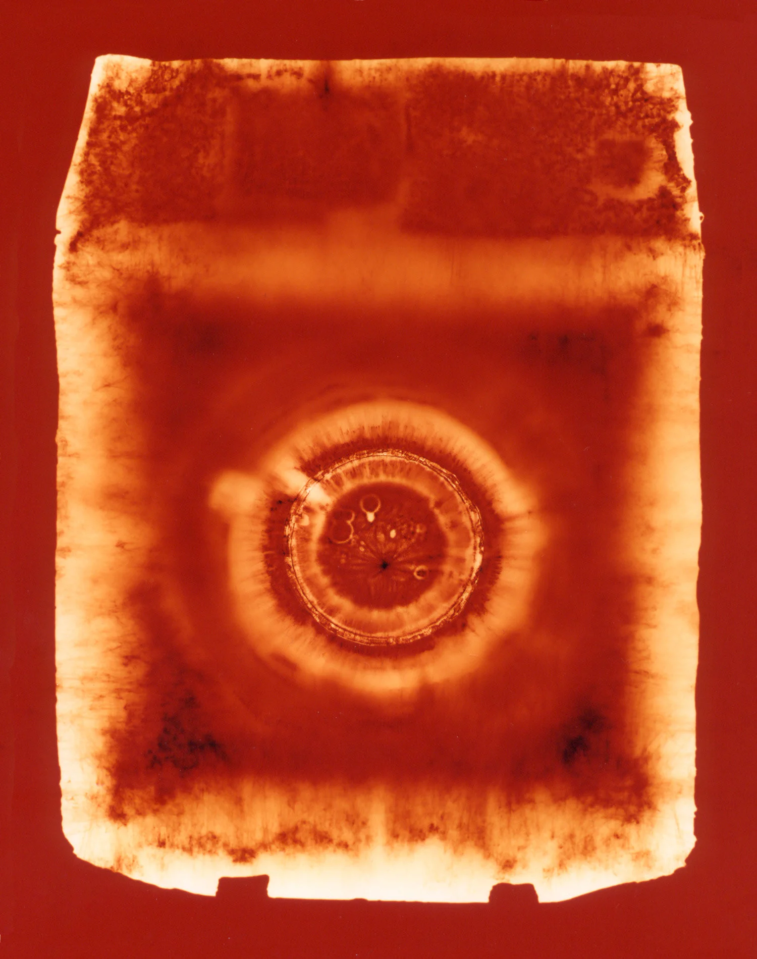 Heavy light — Penelope davis