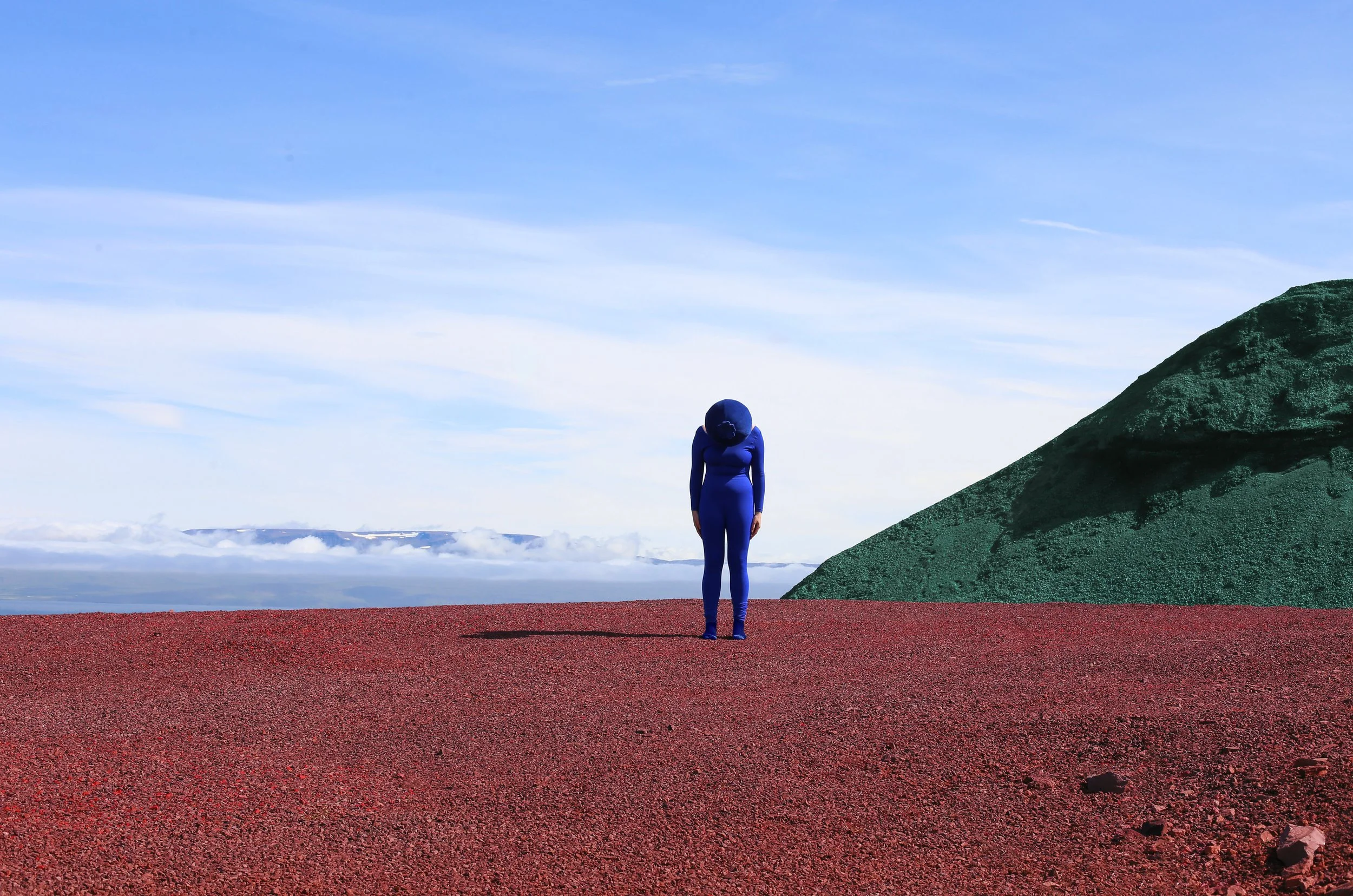 Blueberry Fields — Vilma Leino