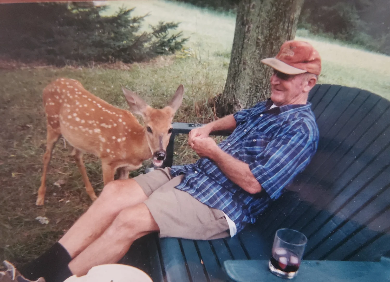 Stephen G. Hastings, DVM Obituary — Mitchell Funeral Homes