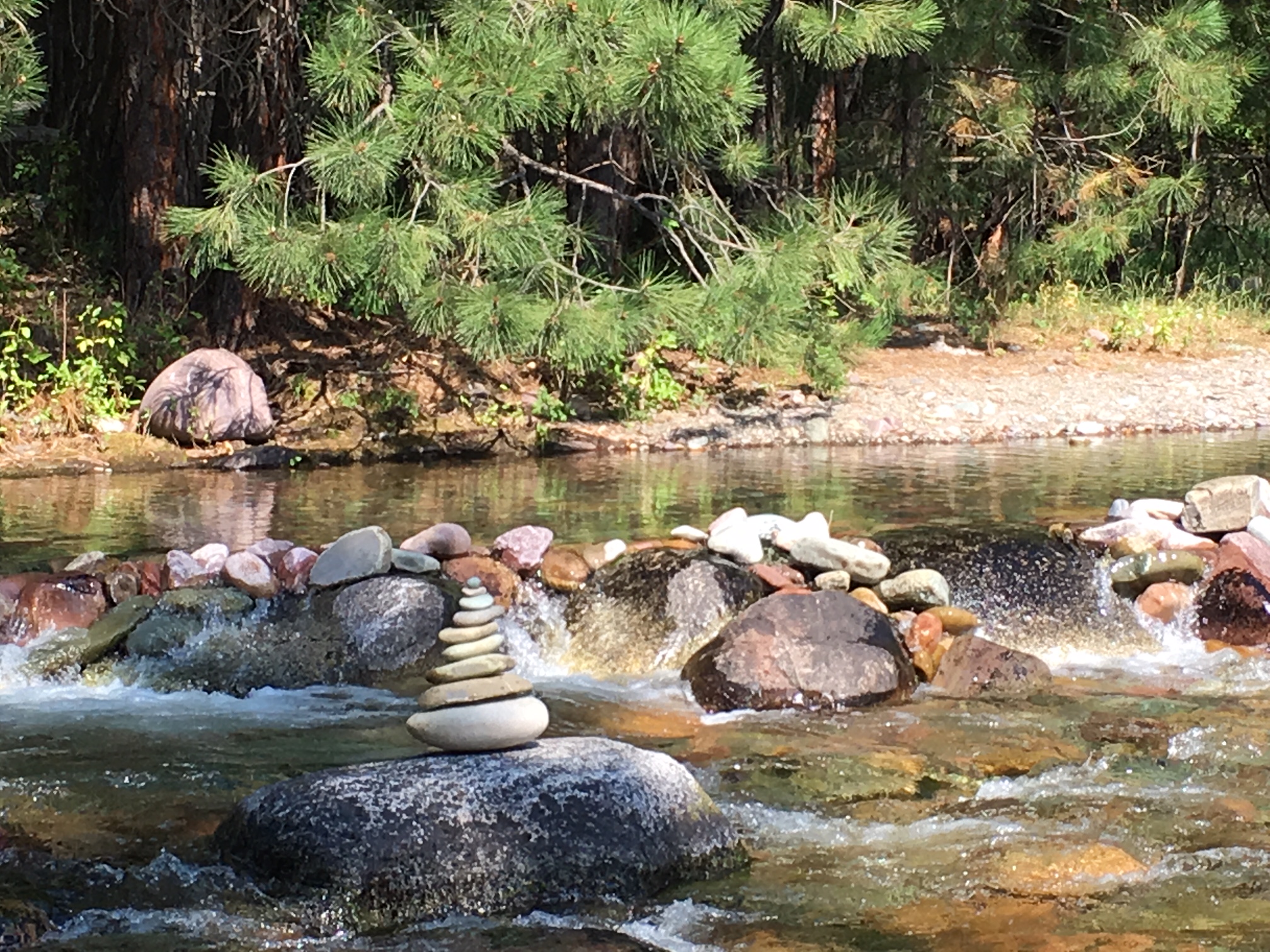 About Susan — Montana Mindfulness Institute