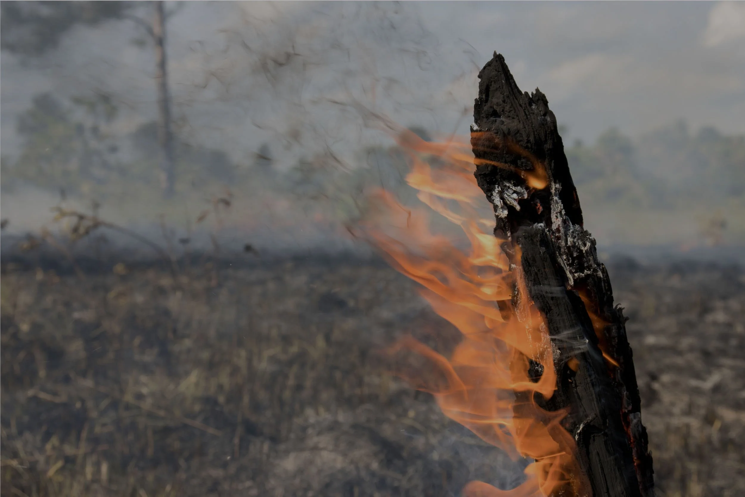 International Savanna Fire Management Initiative