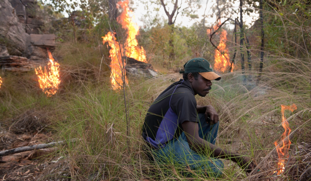 Asia-Pacific — International Savanna Fire Management Initiative