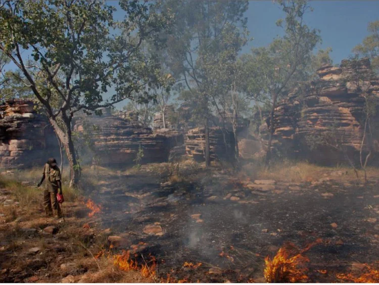 Services 2 — International Savanna Fire Management Initiative