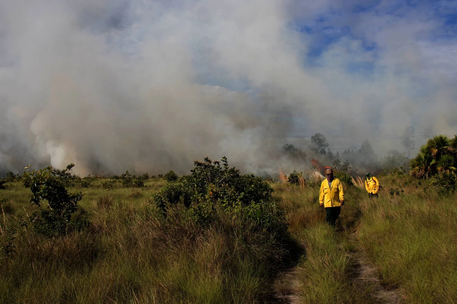 International Savanna Fire Management Initiative