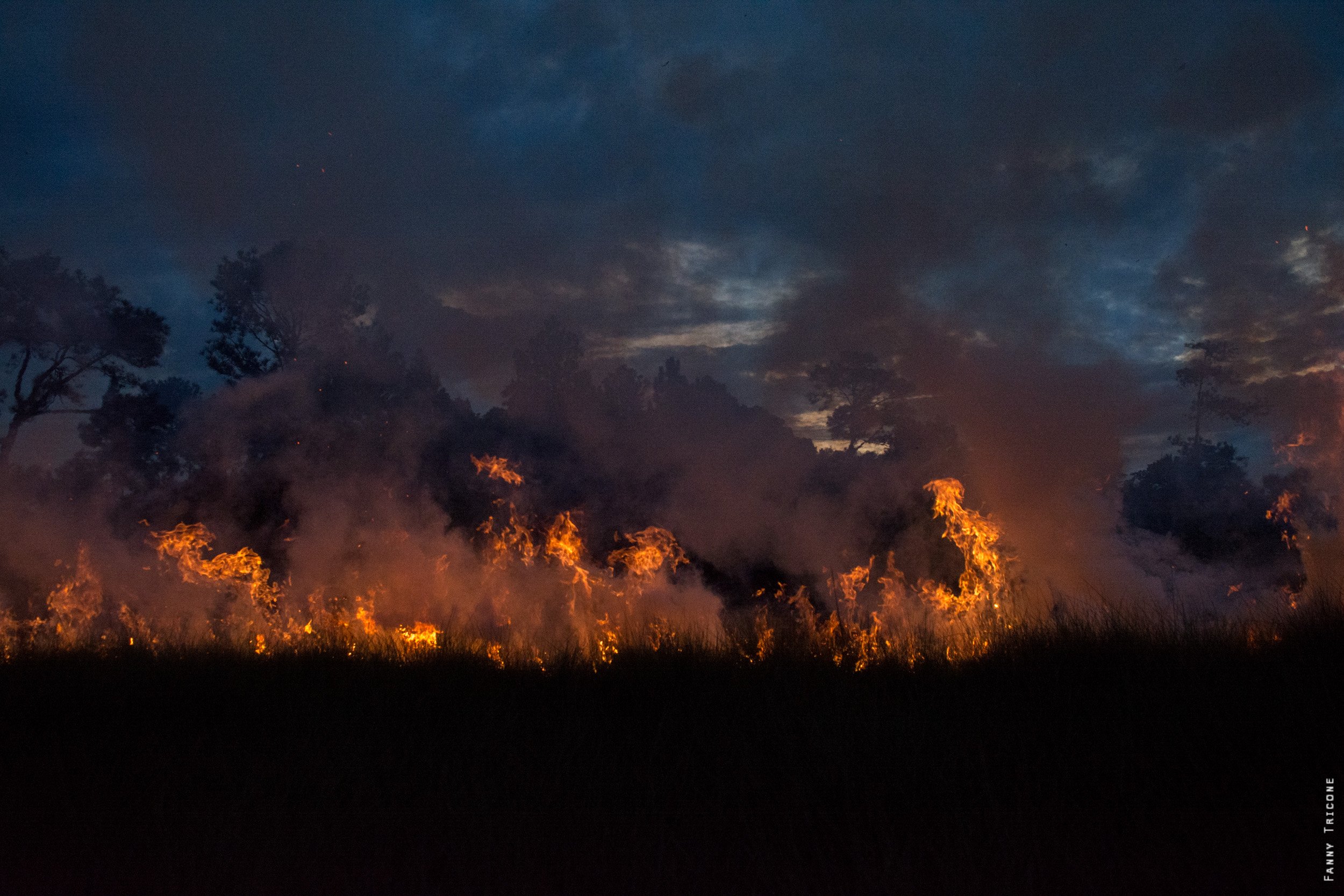 International Savanna Fire Management Initiative