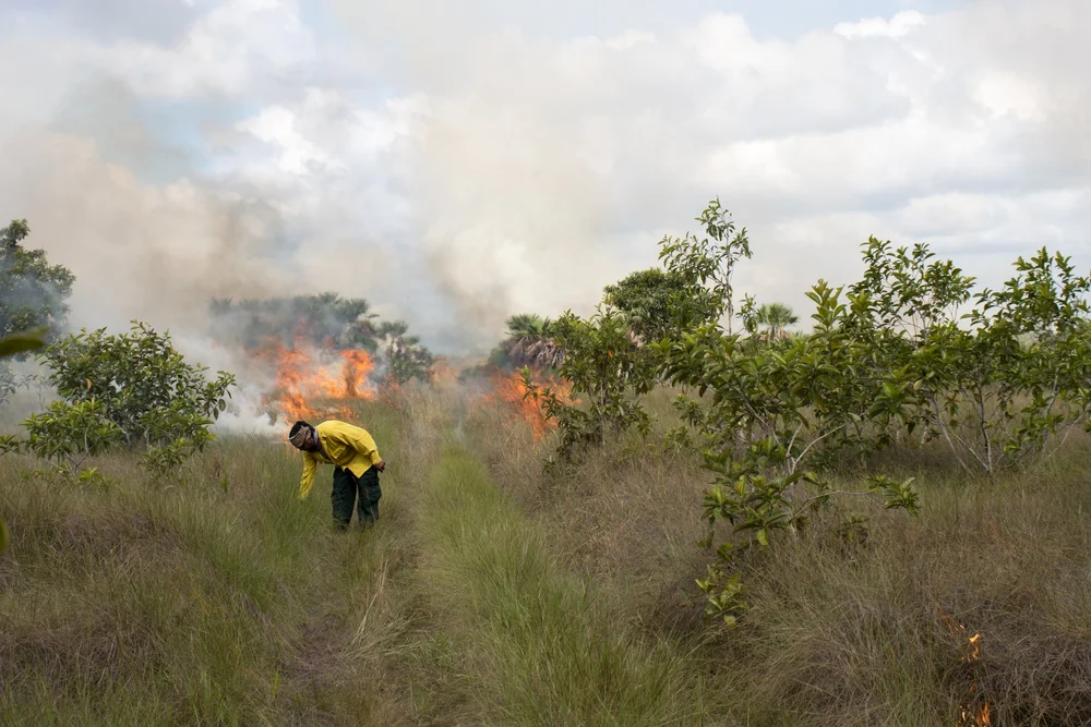 International Savanna Fire Management Initiative