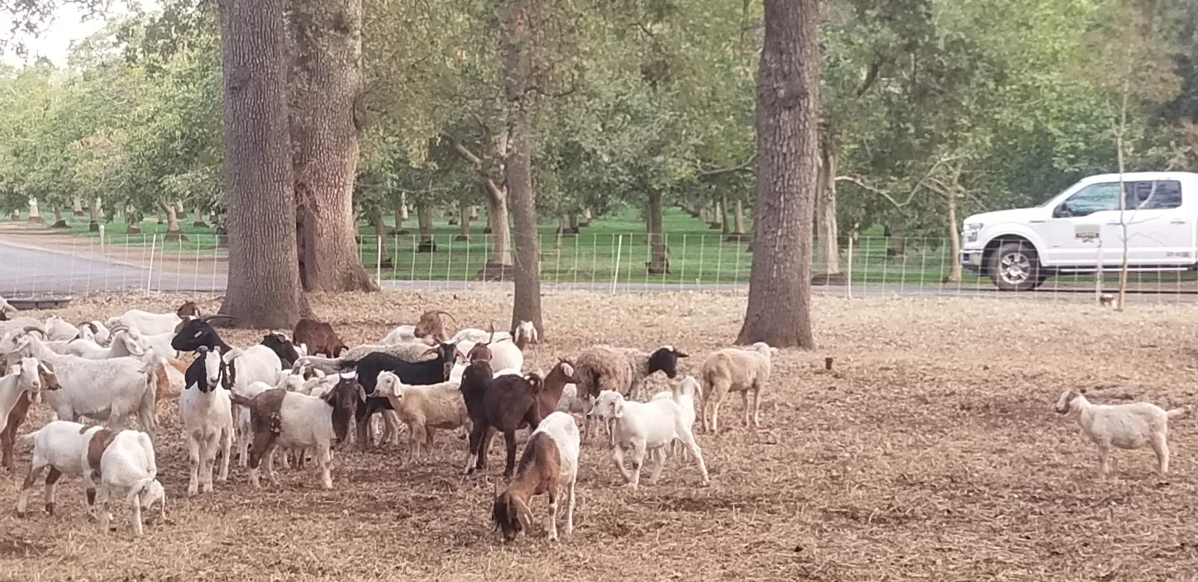 Innovation — Capay Farms