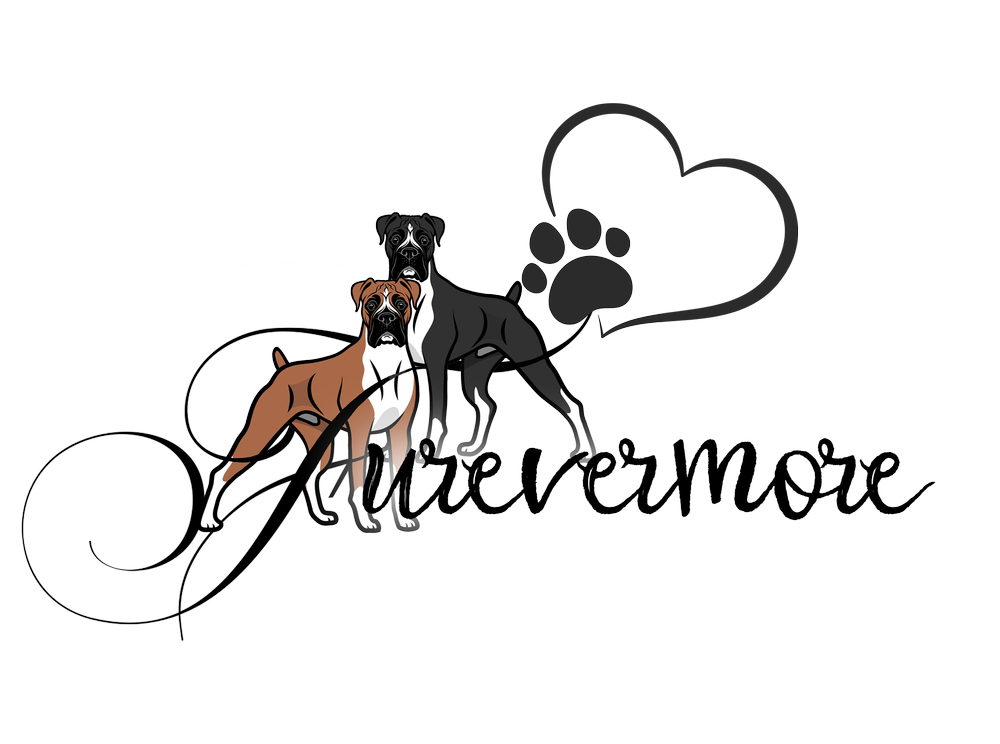 Boxers — FURevermore Boxers & Frenchies