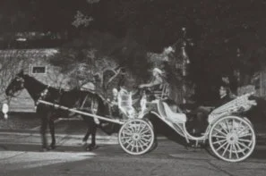 Highland Park Texas Christmas Light Tours, Highland Park Texas, Dallas ...