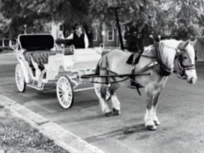 Highland Park Texas Christmas Light Tours, Highland Park Texas, Dallas ...