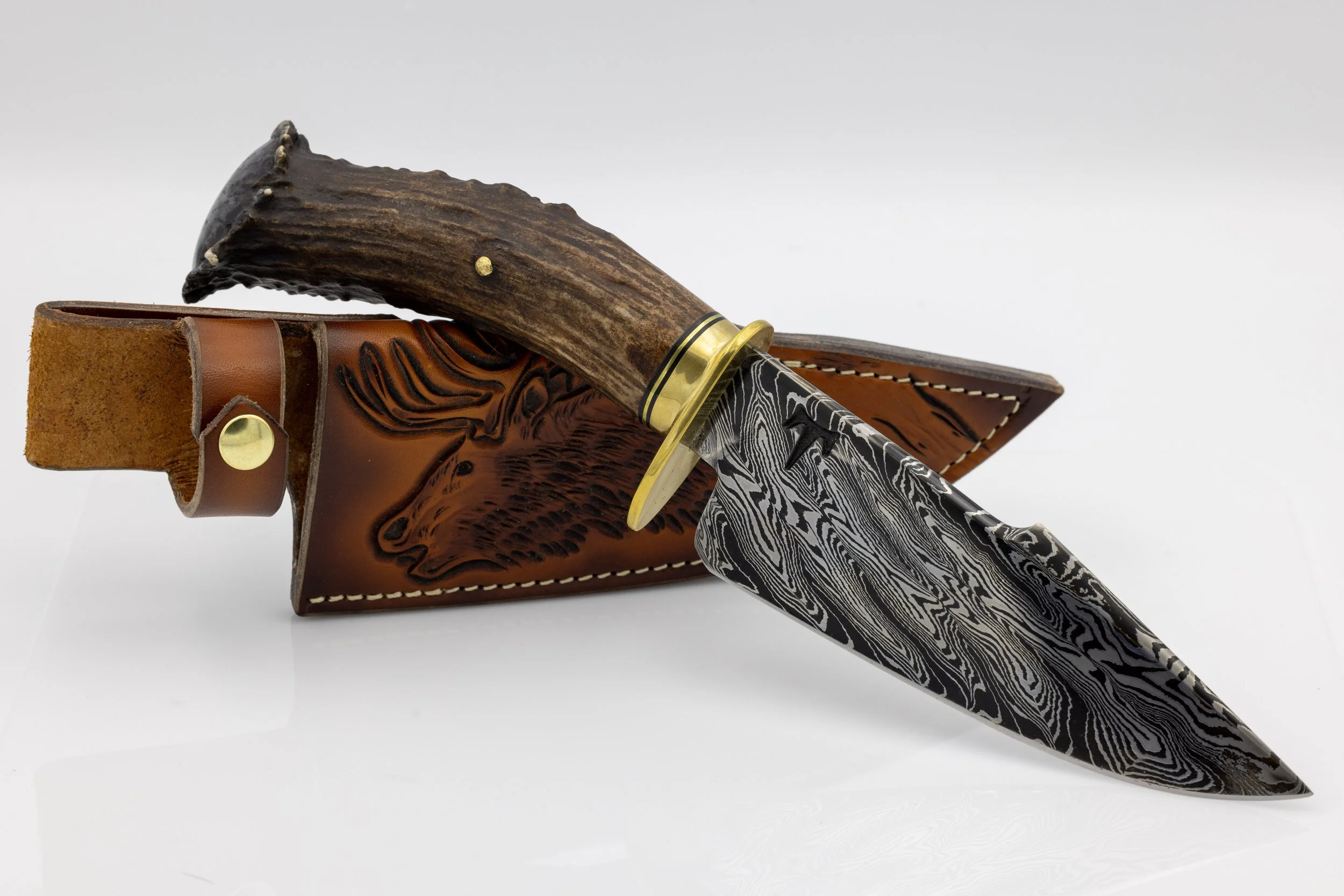 SCOTT SCHUSTER PHOTOGRAPHY — Studio Photography