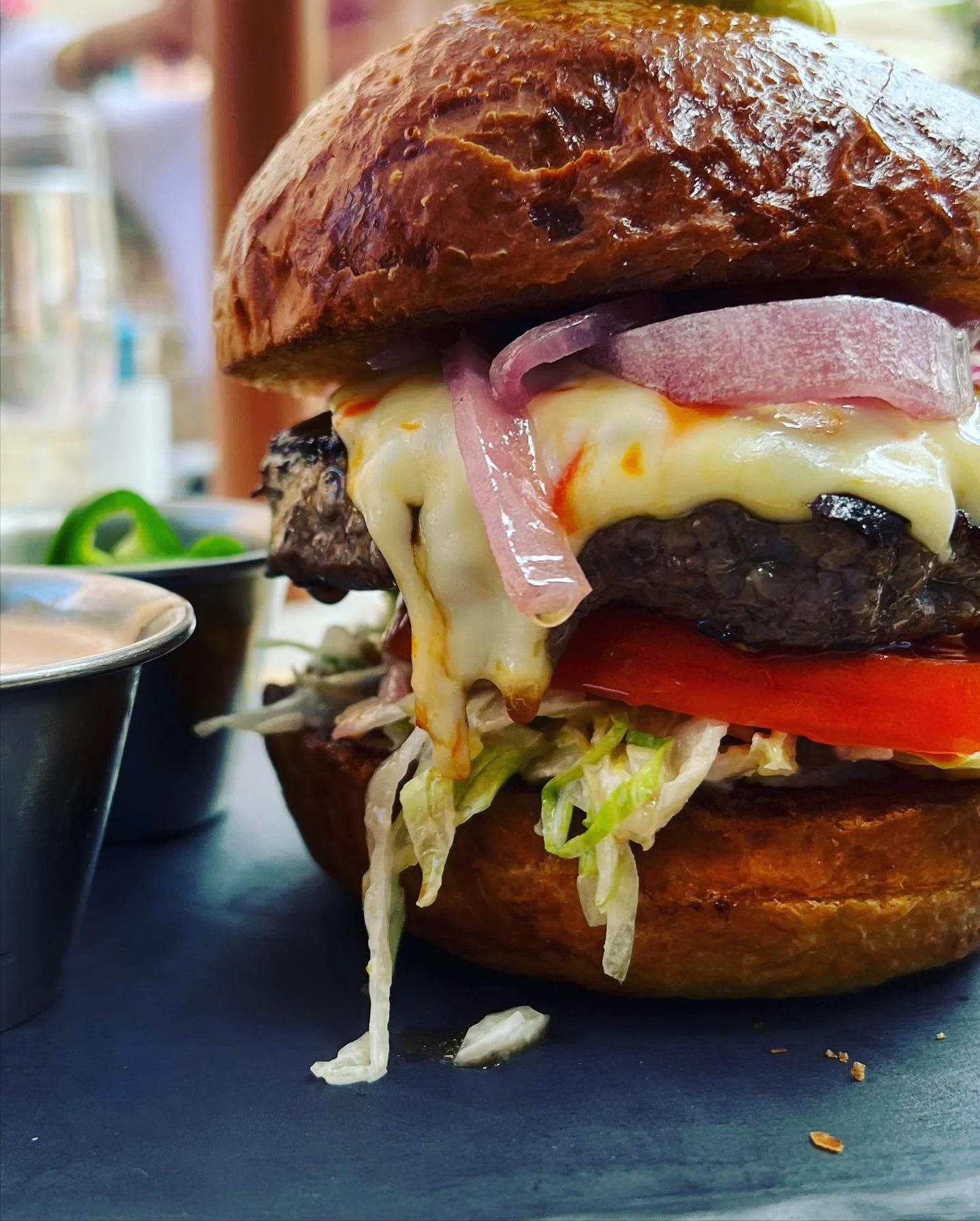 SCOTT SCHUSTER PHOTOGRAPHY