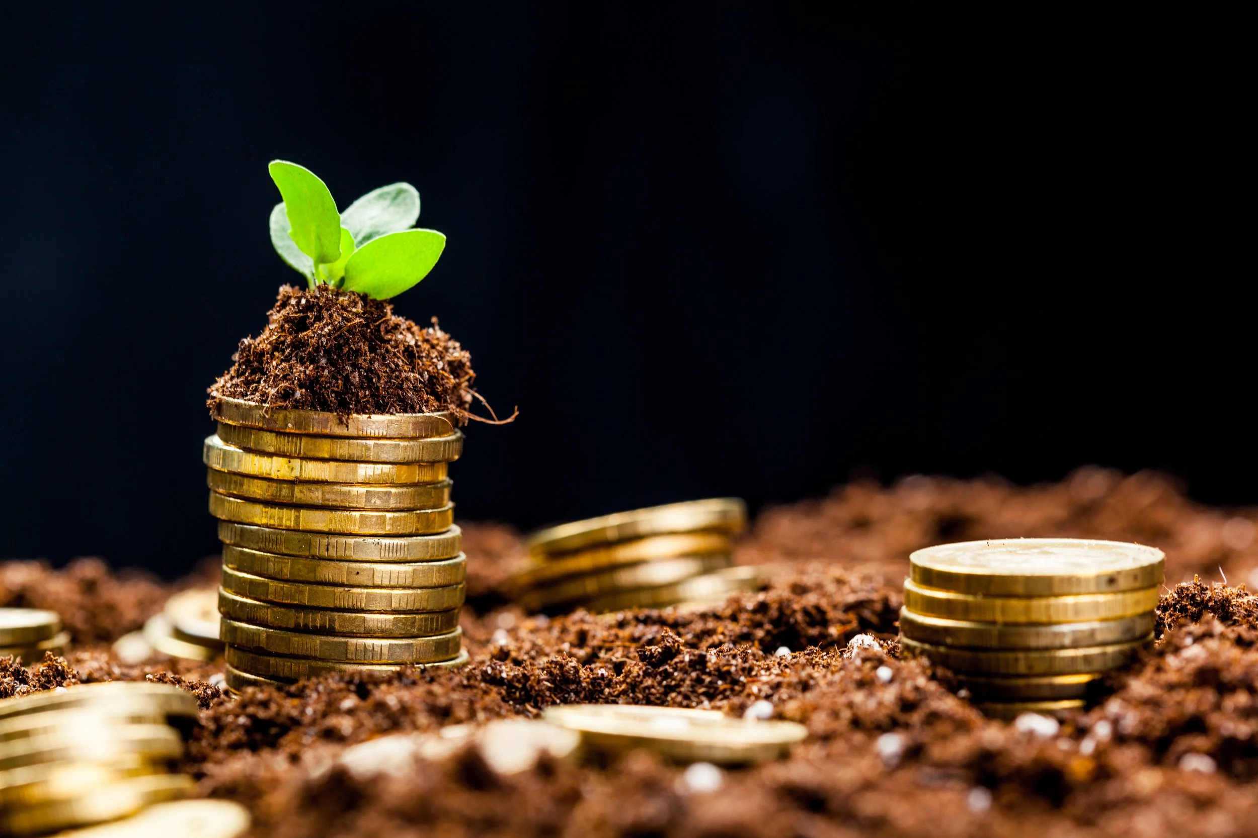 St Mungo's Church Balerno & Livingston