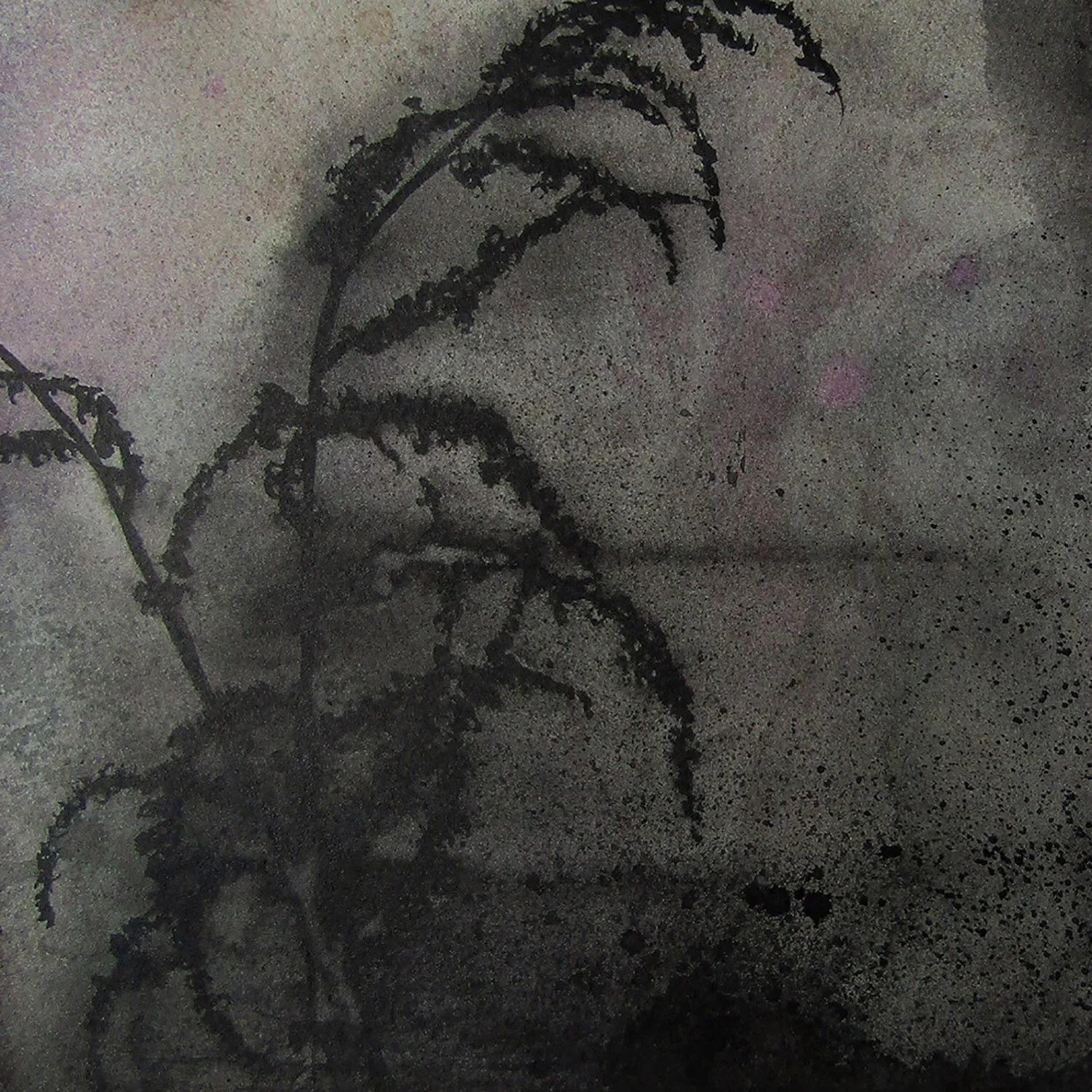 Flora — LAURA WADE