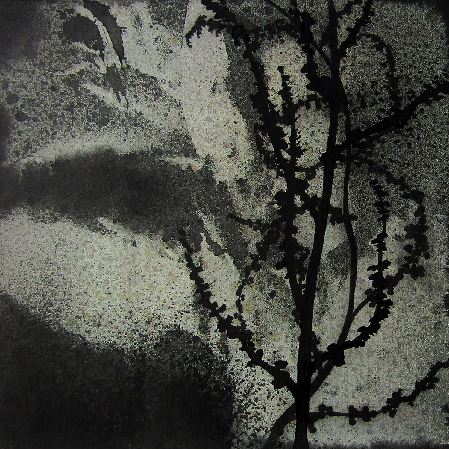 Flora — LAURA WADE