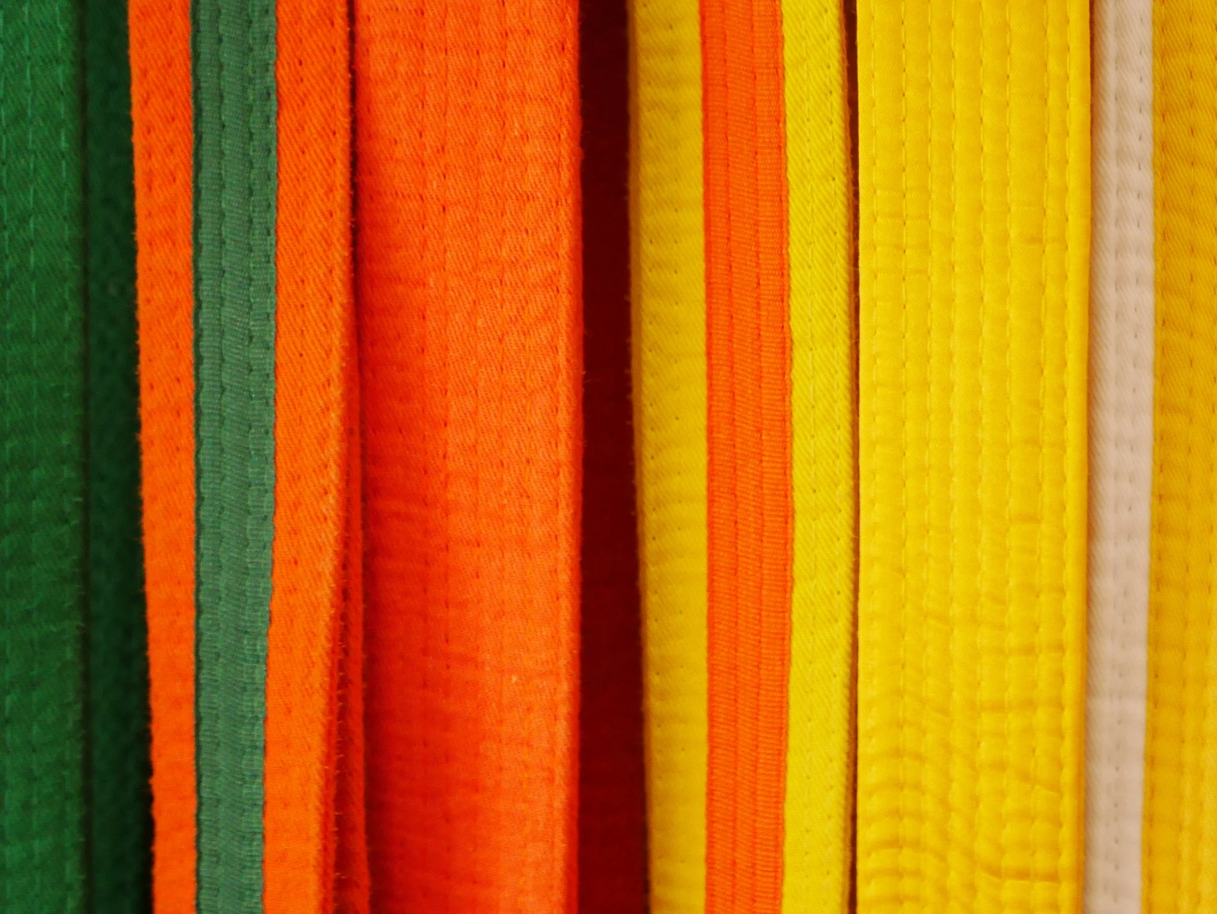 News — Robert Lee Martial Arts