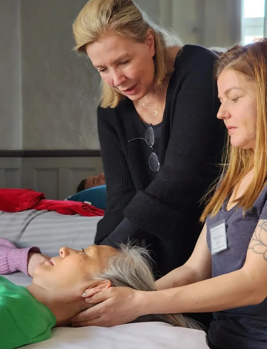 NAT Foundation Training — SOS Internationale