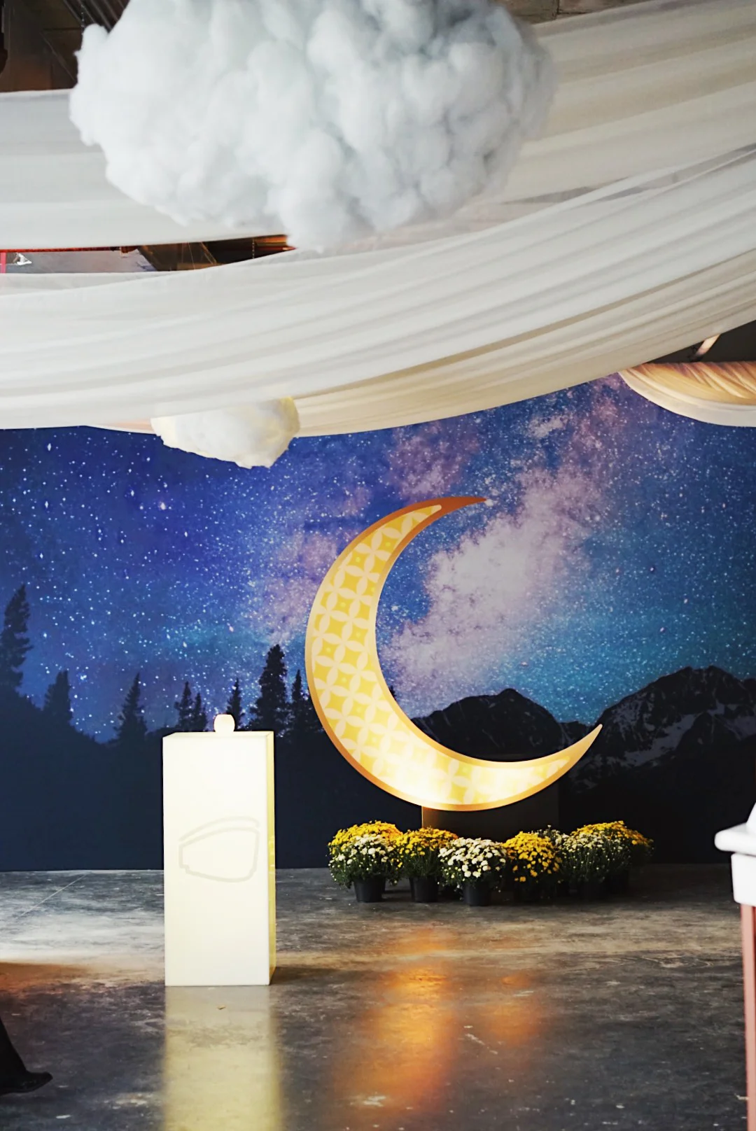 COMPANY — SYZYGY EVENTS INTERNATIONAL