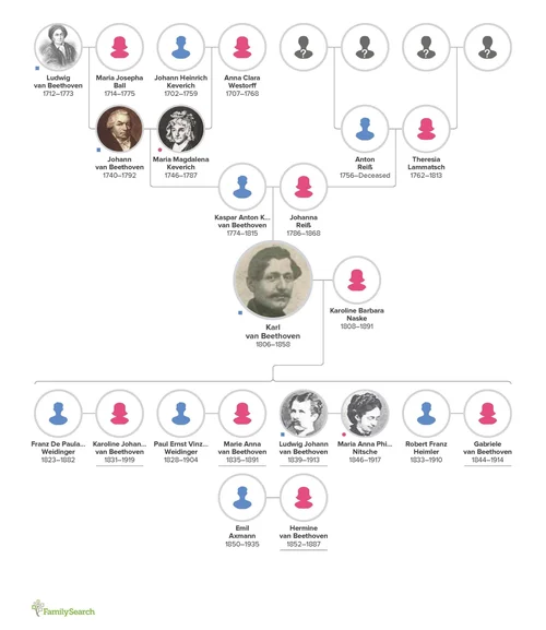 Beethoven's Family Tree — Skagit Symphony