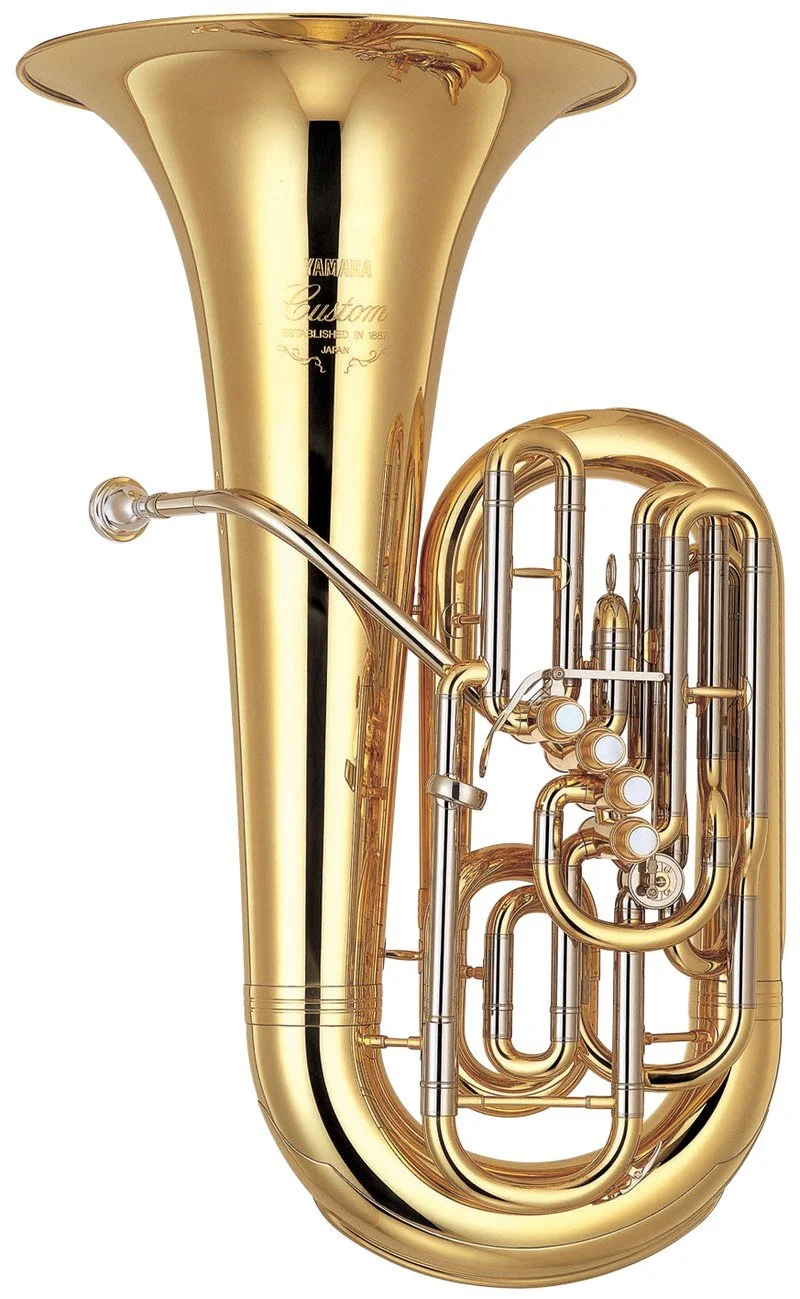 Who Plays in the Orchestra? — Skagit Symphony